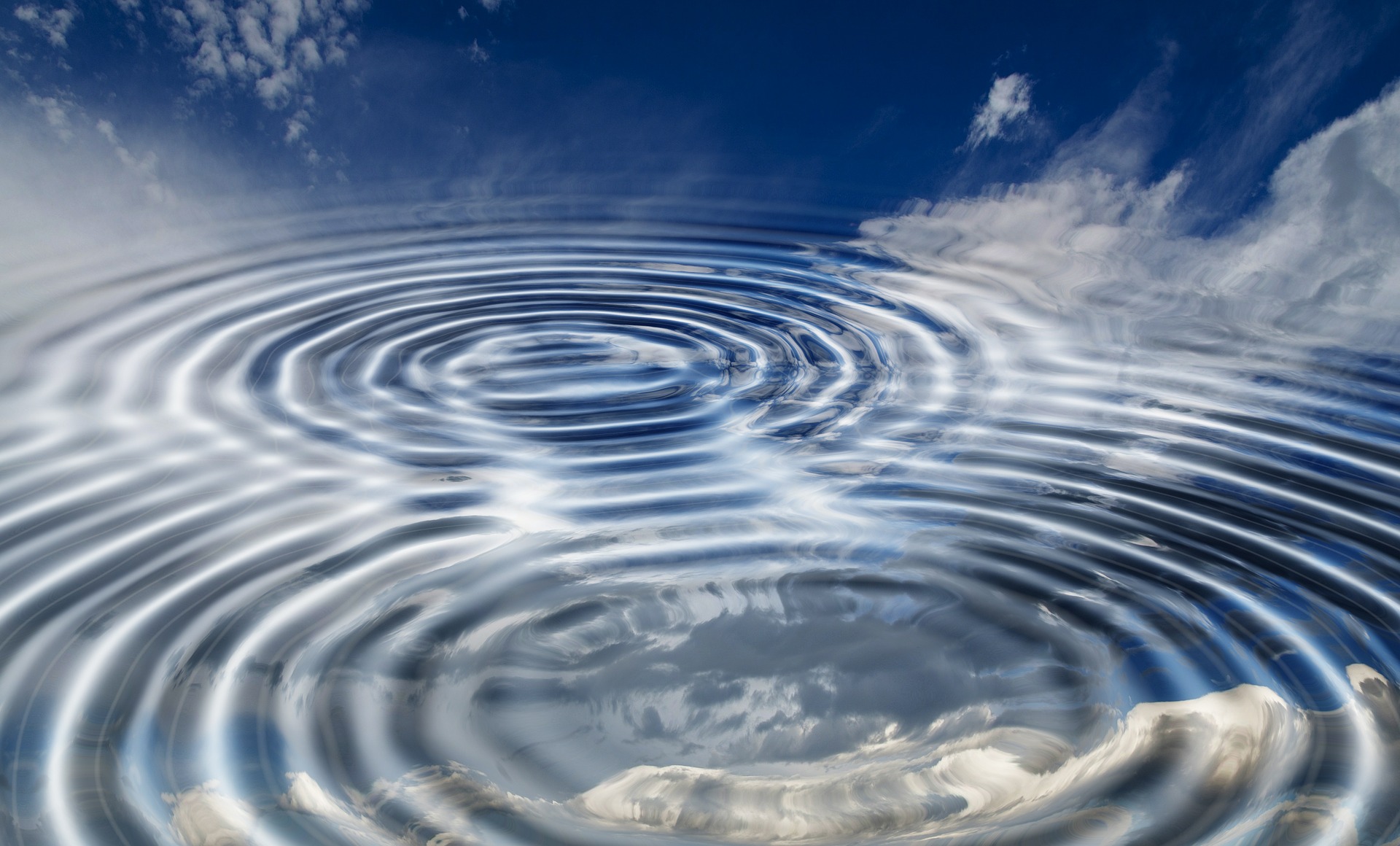 Dein Mut ist deine klare Entscheidung: Mach dein Leben zu deinem Revier!